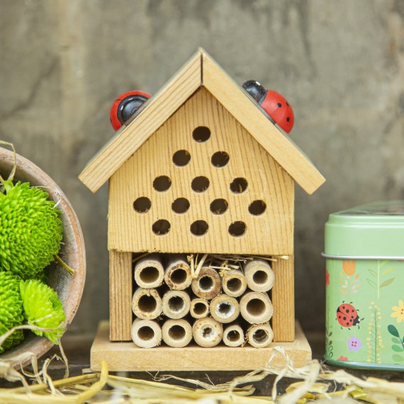 Make your own insect house in a tin – Raindrops on Roses - St Albans