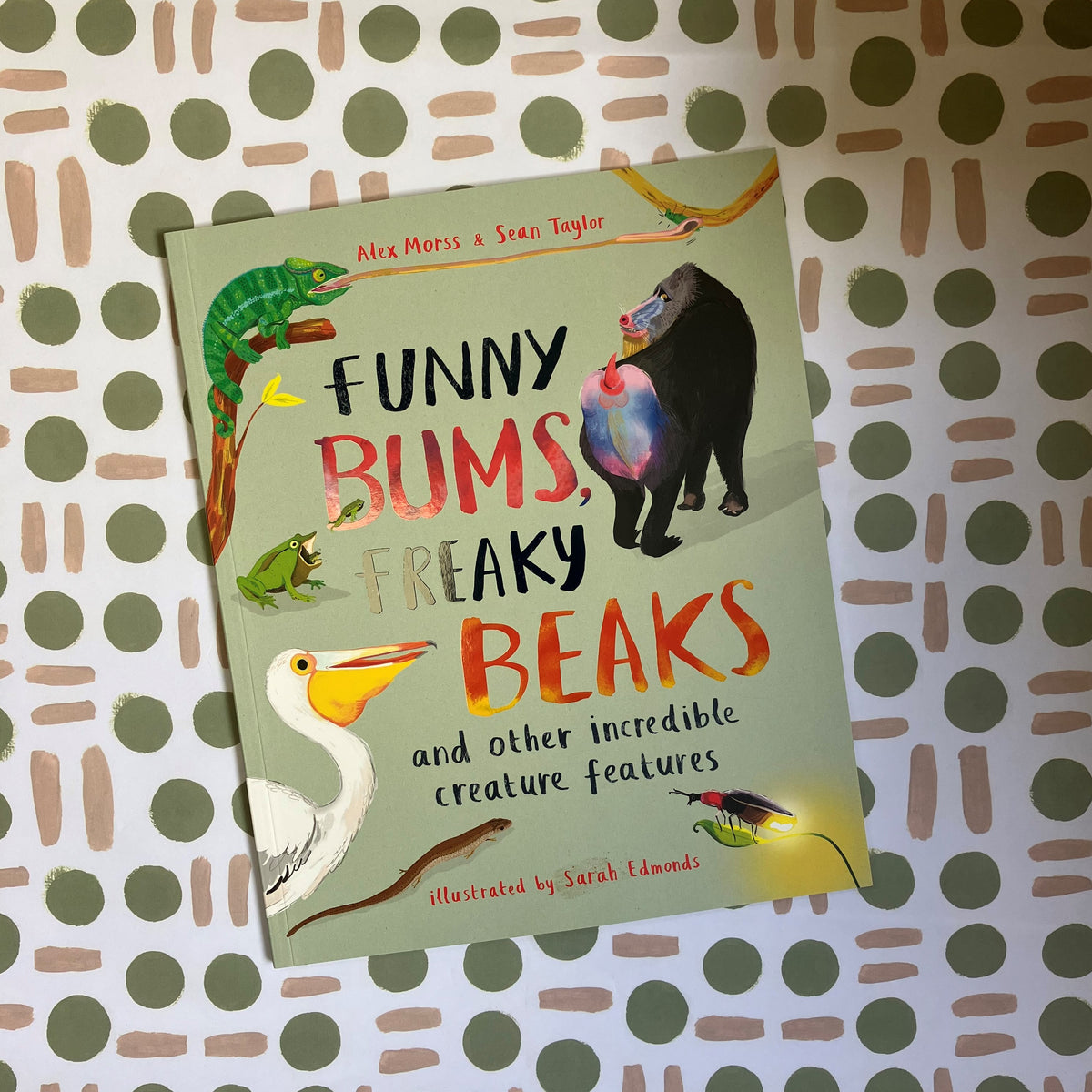 Funny bums freaky beaks book – Raindrops on Roses - St Albans