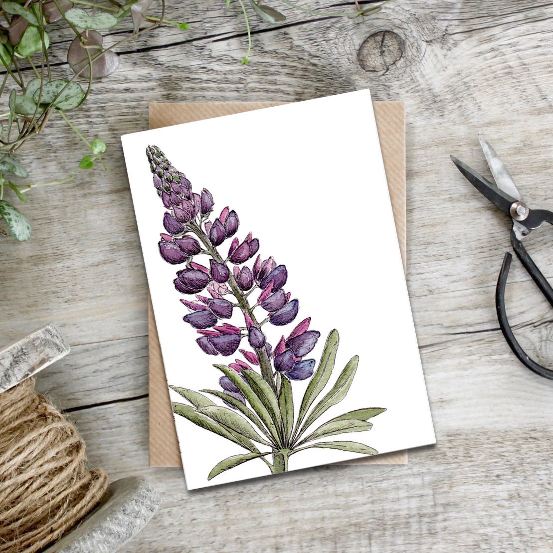 Lupin card – Raindrops on Roses - St Albans